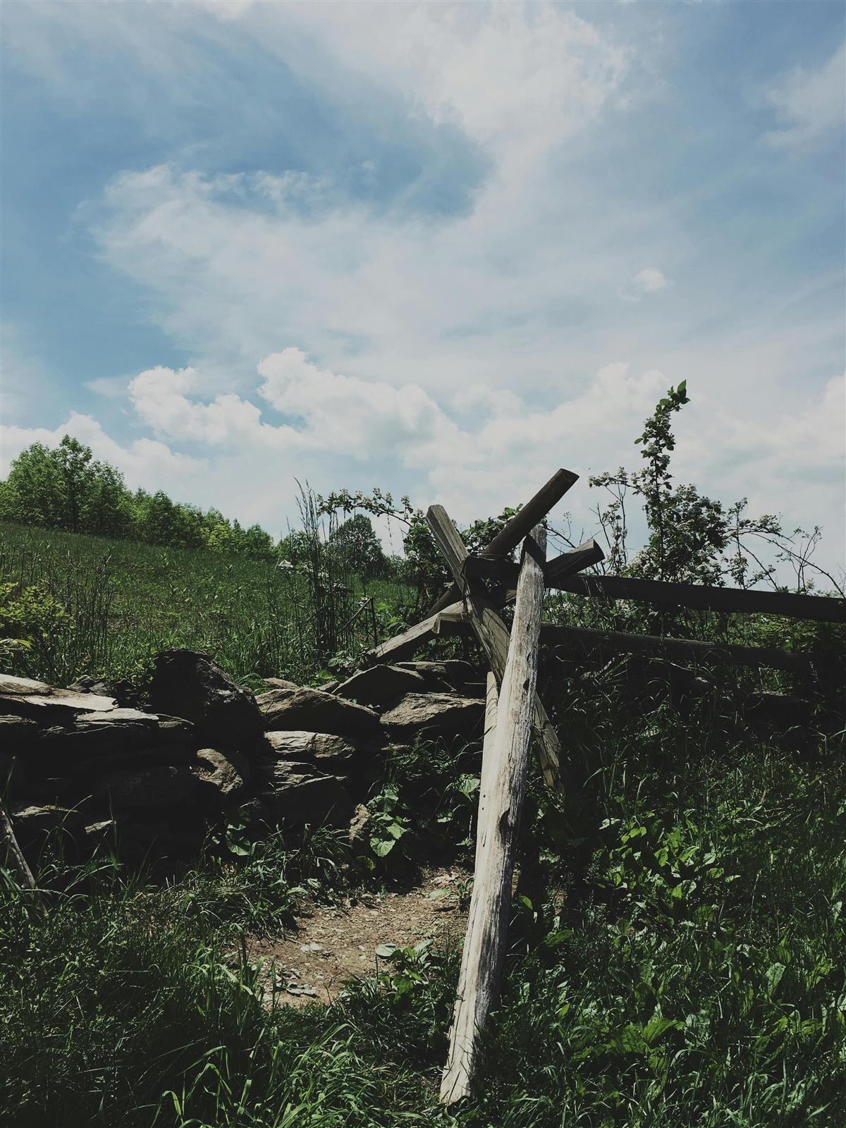 Beiting, gjerde og rovdyr - Nord-Aurdal kommune